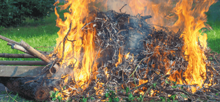 The Fire Triangle: Understanding the Elements of Combustion